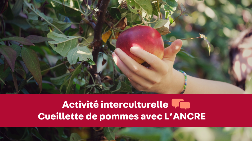 Cueillette de pommes de L’ANCRE | L'ANCRE